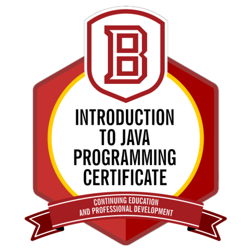 Introduction to Java Programming Certificate - Credly
