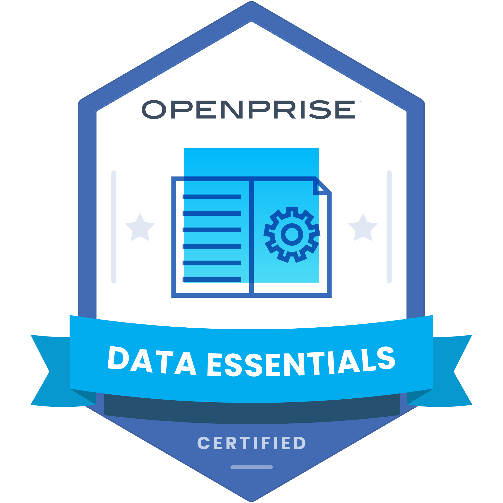 Openprise Data Essentials Certified - Credly