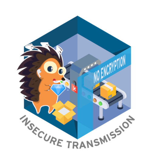 Insecure Transmission - Credly