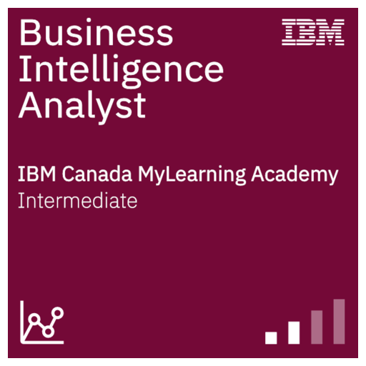 Business Intelligence Analyst - Intermediate - Credly