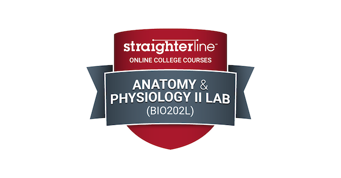 Anatomy and Physiology II Lab (BIO202L) - Credly