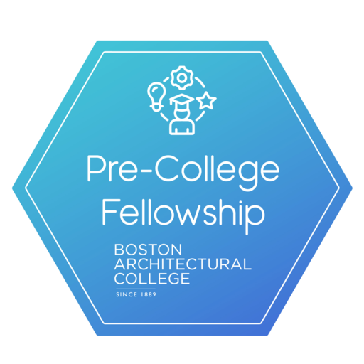 Pre-College Fellowship - Credly