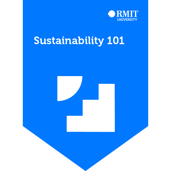 Sustainability 101 - Credly