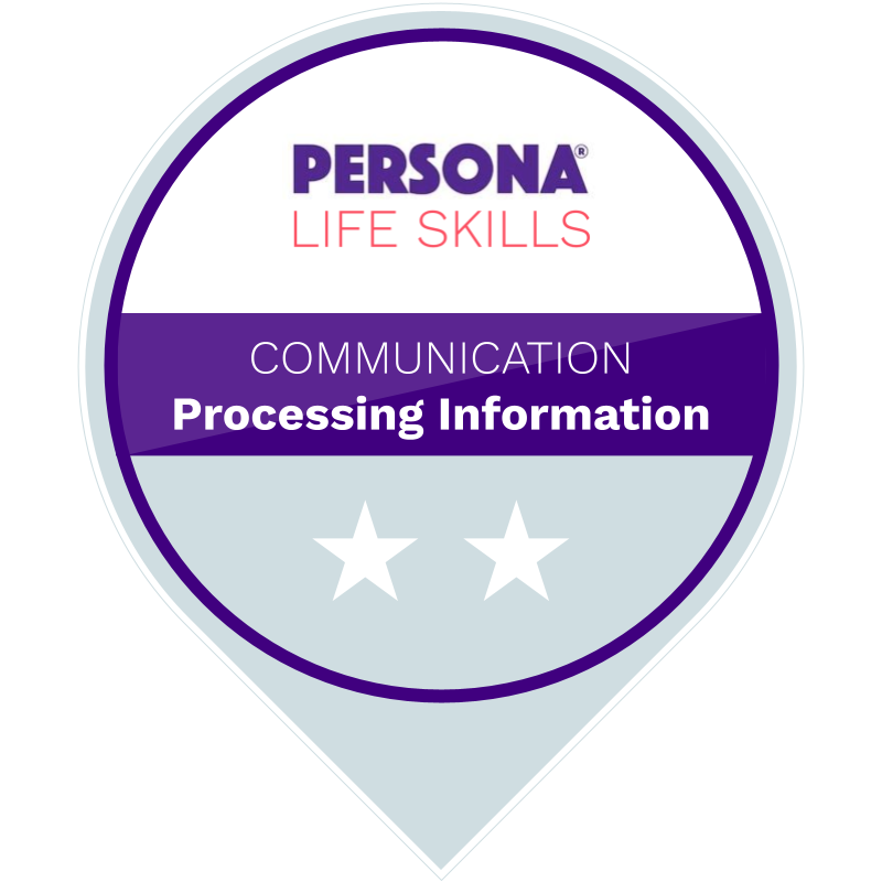 Persona Life Skills: Life Skill 5 – Processing Information: Apply Level ...