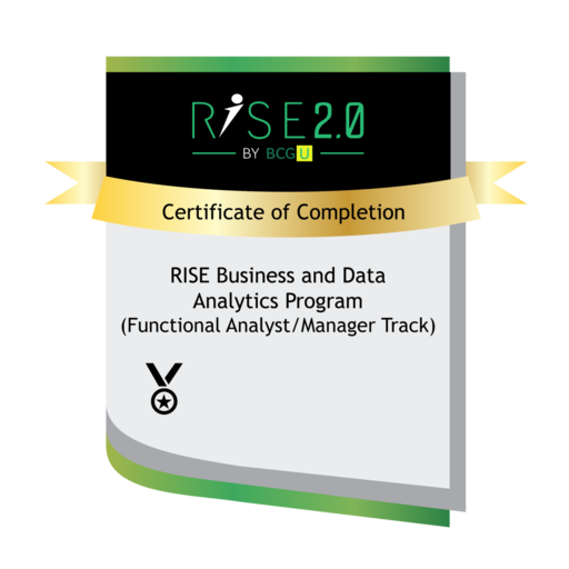 BCG RISE Certificate of Completion - Business and Data Analytics ...