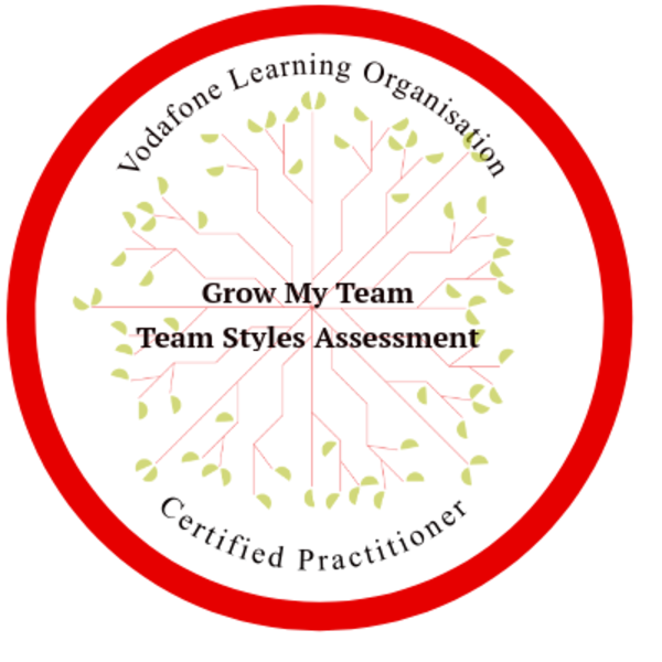 Team Styles Assessment Program Badge - Credly