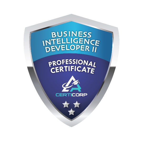 Business Intelligence Developer II Professional Certification - Credly