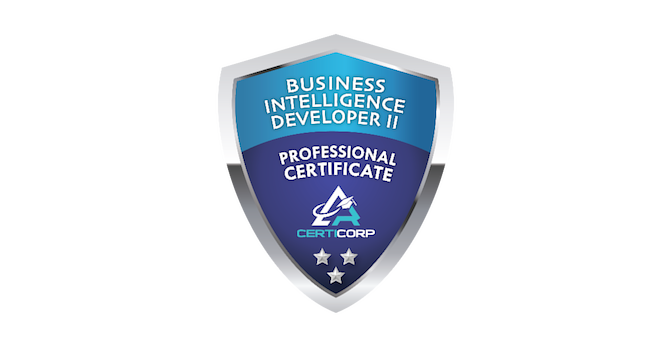 Business Intelligence Developer II Professional Certification - Credly