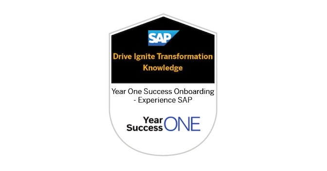 Drive Ignite Transformation Knowledge - Year One Success Onboarding ...