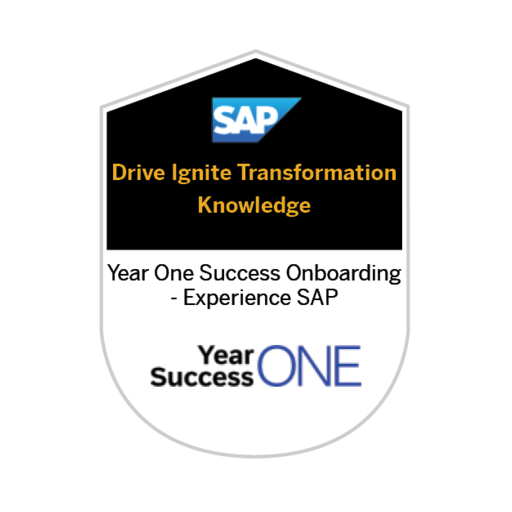 Drive Ignite Transformation Knowledge - Year One Success Onboarding ...