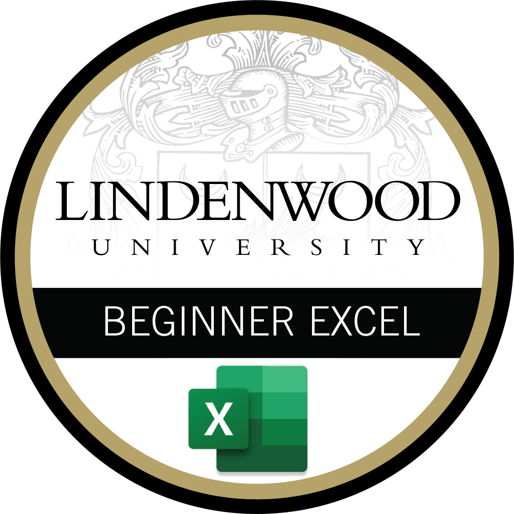 Beginner Excel Training Credly
