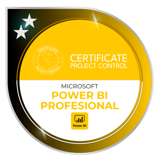Especialización en Power BI Profesional - Credly