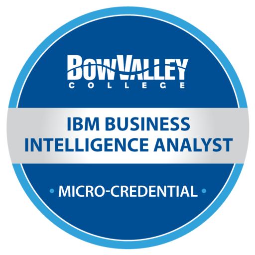 IBM Business Intelligence Analyst - Credly
