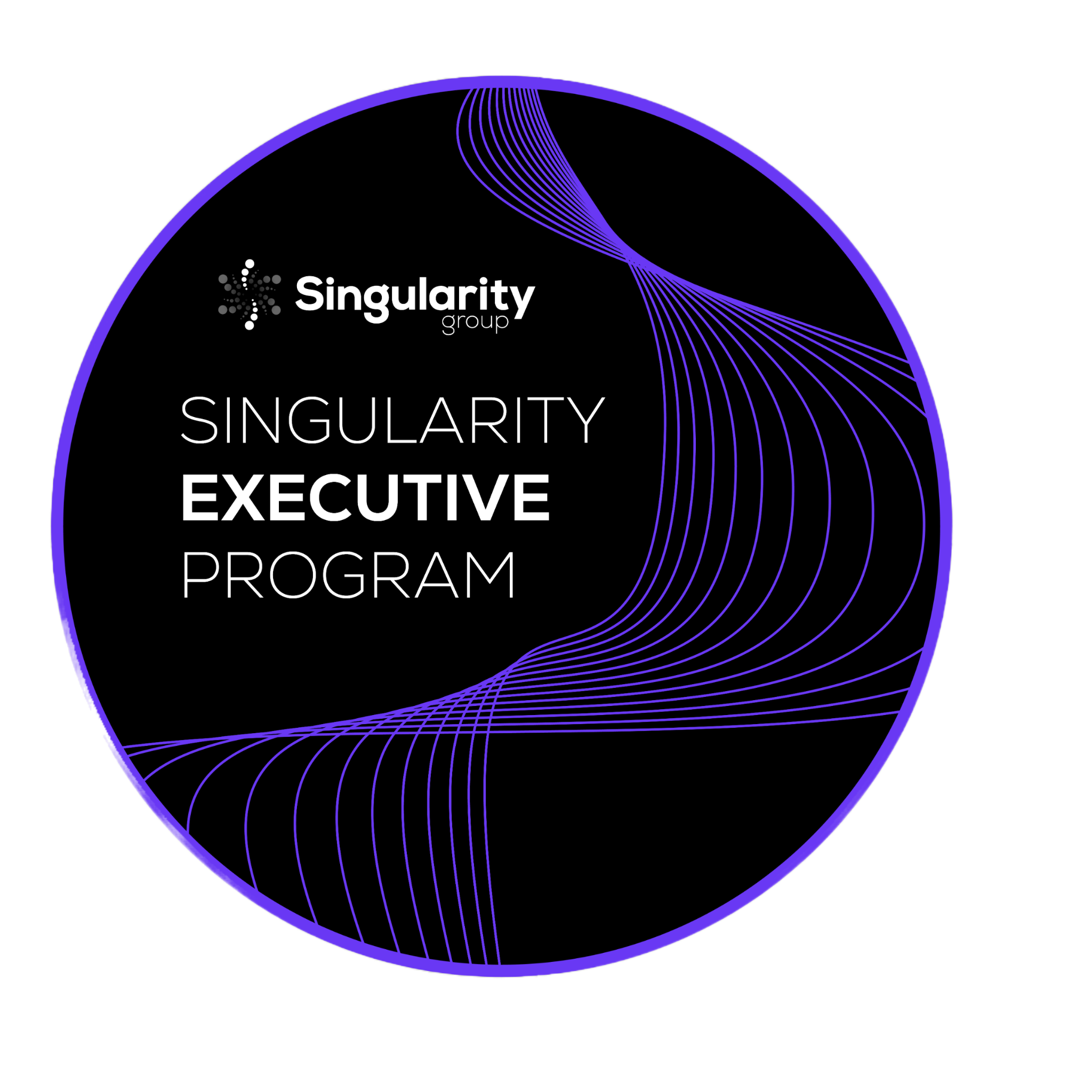Singularity Executive Program (Attended a 2008 - 2019 Cohort) - Credly