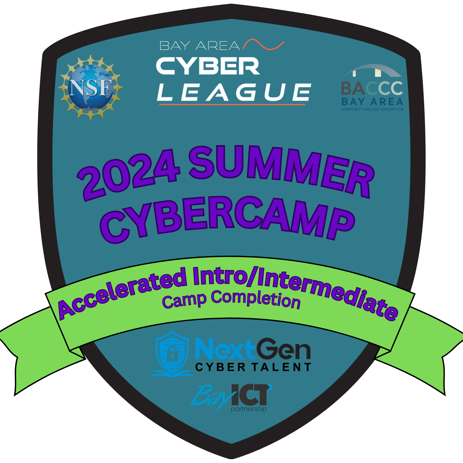 2024 Virtual Accelerated Intro/Intermediate CyberCamp - Credly