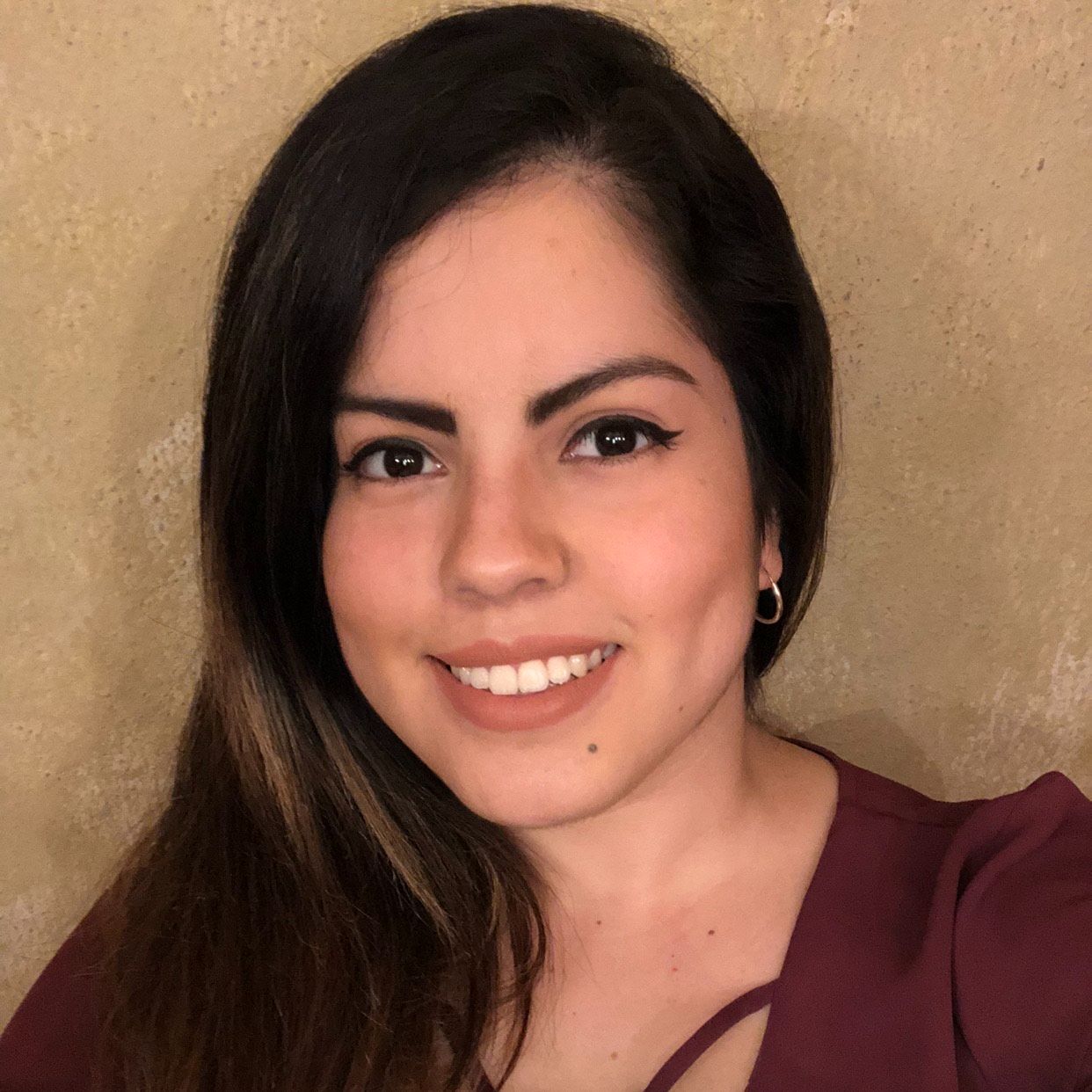 IBM Agile Explorer - Credly