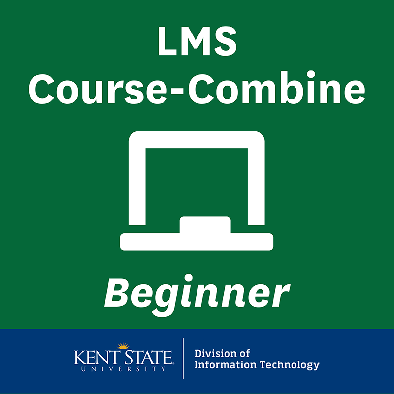 LMS Course-Combine Beginner - Credly