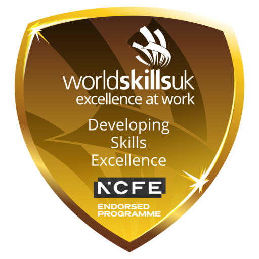 Developing Skills Excellence - Credly