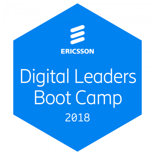 Digital Leaders Boot camp badge 2018 - Credly