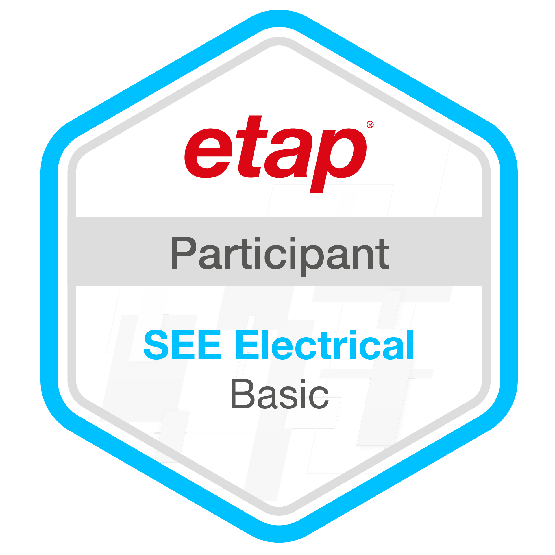 SEE Electrical Basic (EN) - Credly