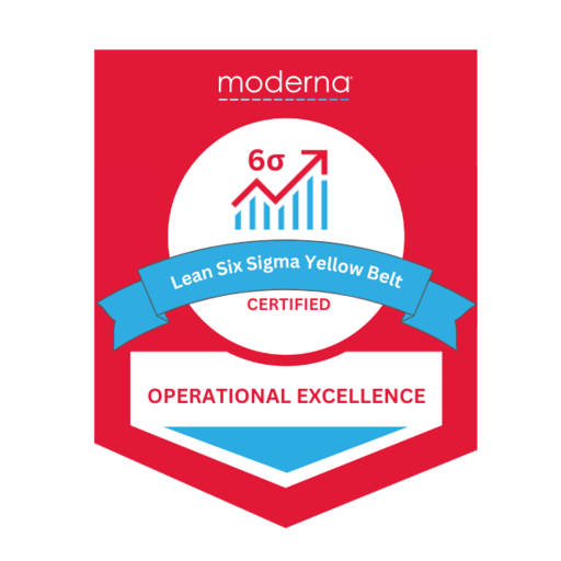 Lean Six Sigma Yellow Belt Certification - Credly