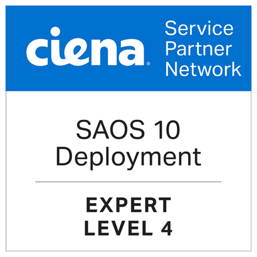 Service Partner Network - SAOS 10 Deployment Level 4 - Credly
