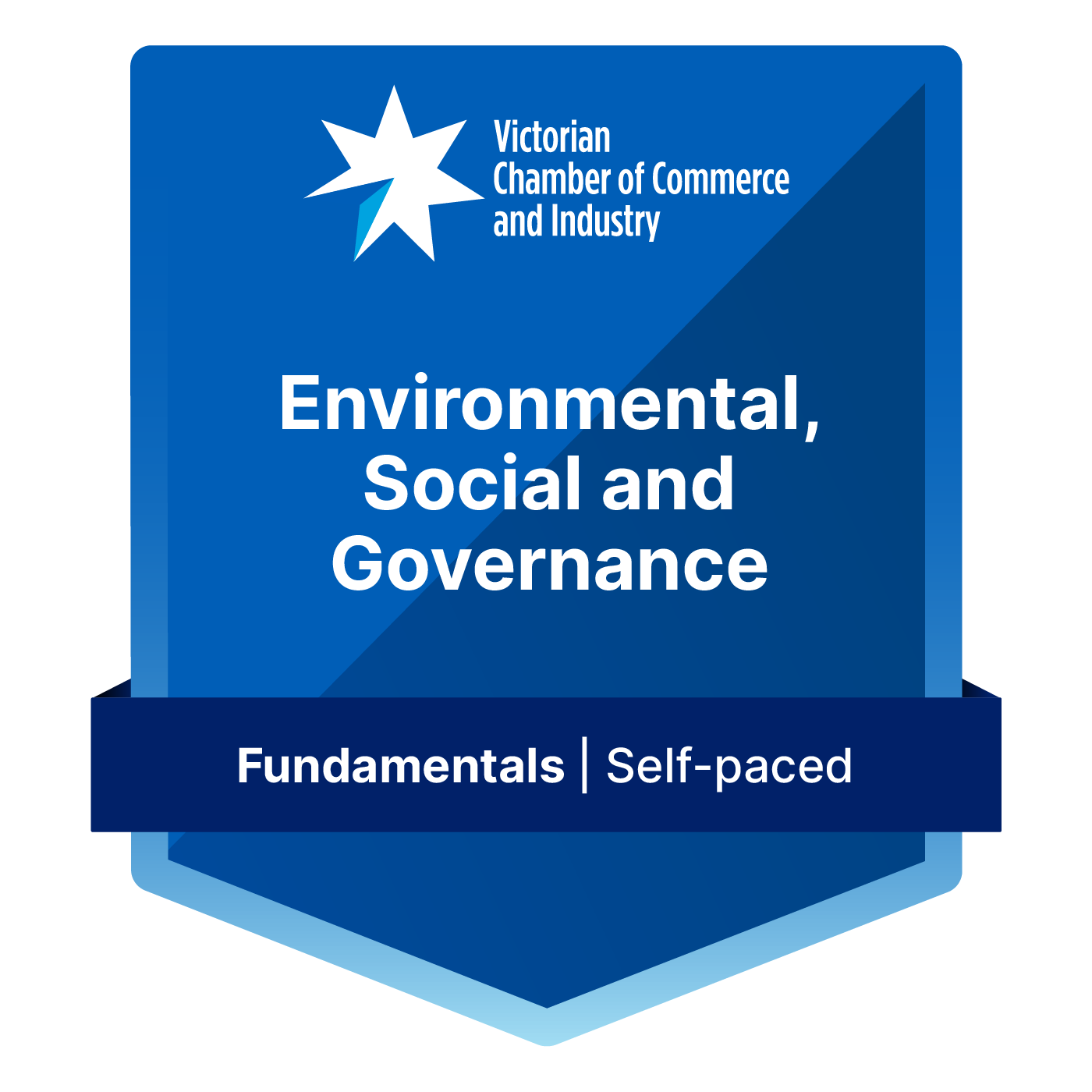 Environmental, Social and Governance (ESG) Fundamentals - Credly