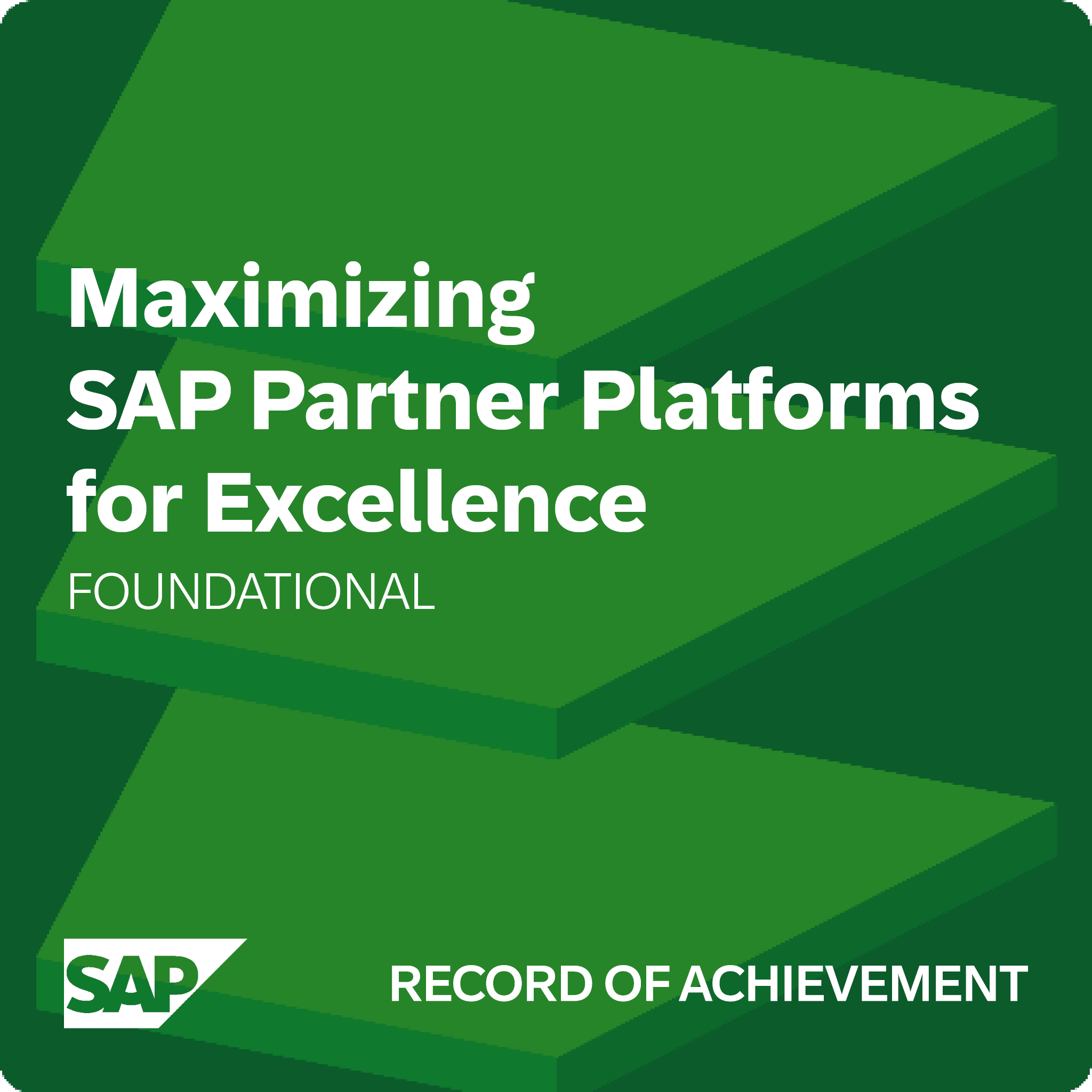 Maximizing SAP Partner Platforms for Excellence - Record of Achievement ...