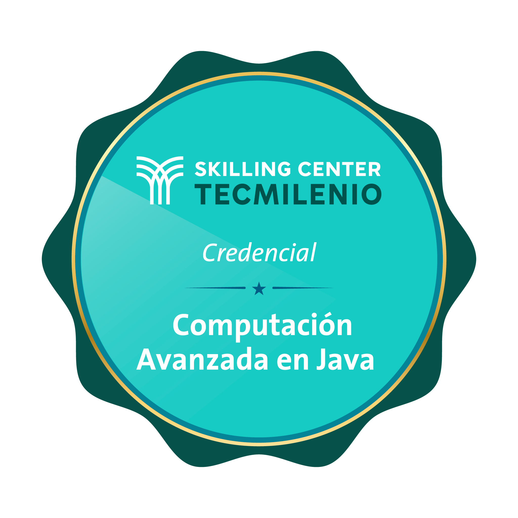 Credencial Computación avanzada en Java - Credly