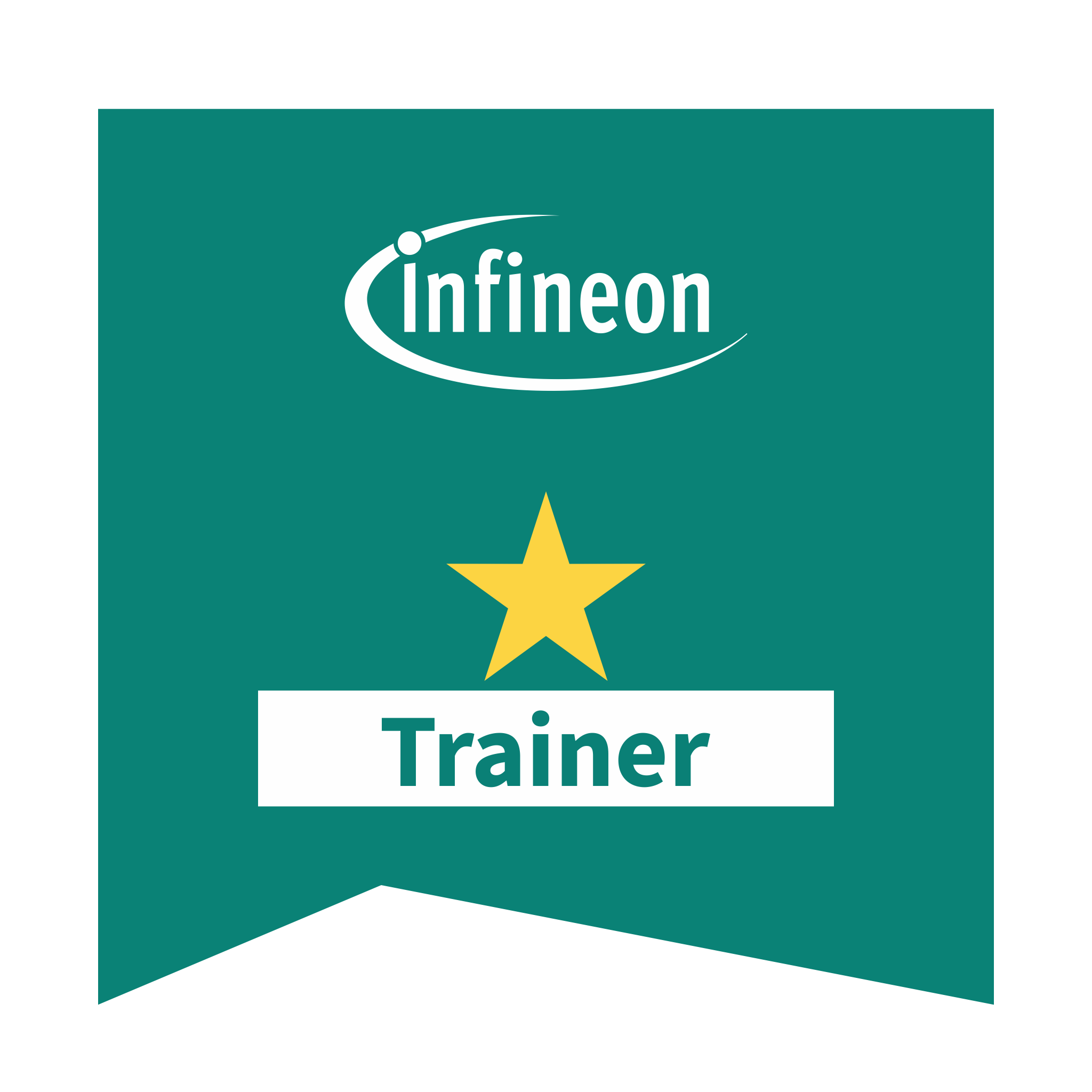 1 Star Trainer - Credly