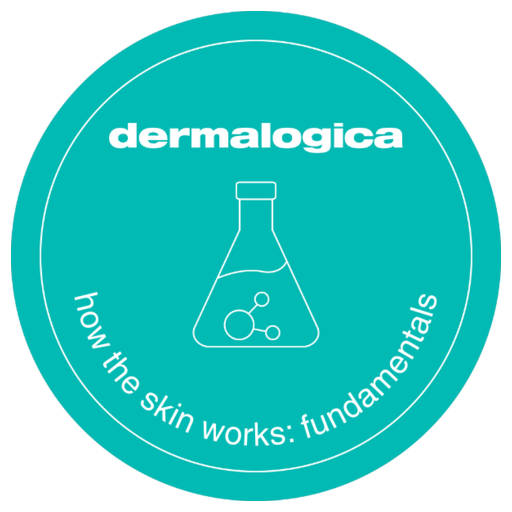 how the skin works: fundamentals - online - Credly