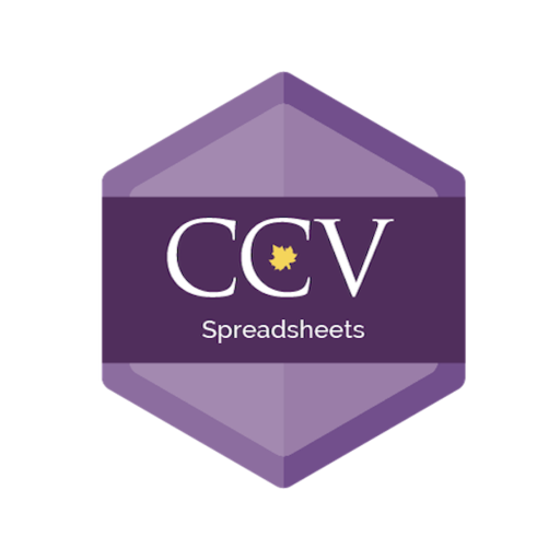 Spreadsheets - Credly