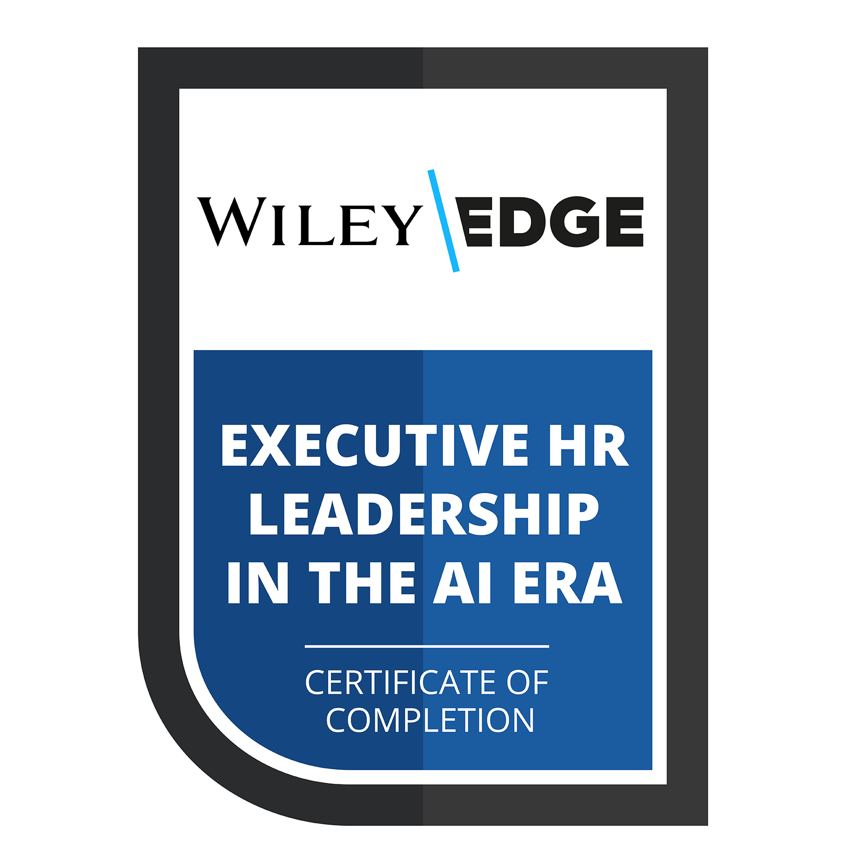 Executive Hr Transformational Leadership In The Ai Era Credly