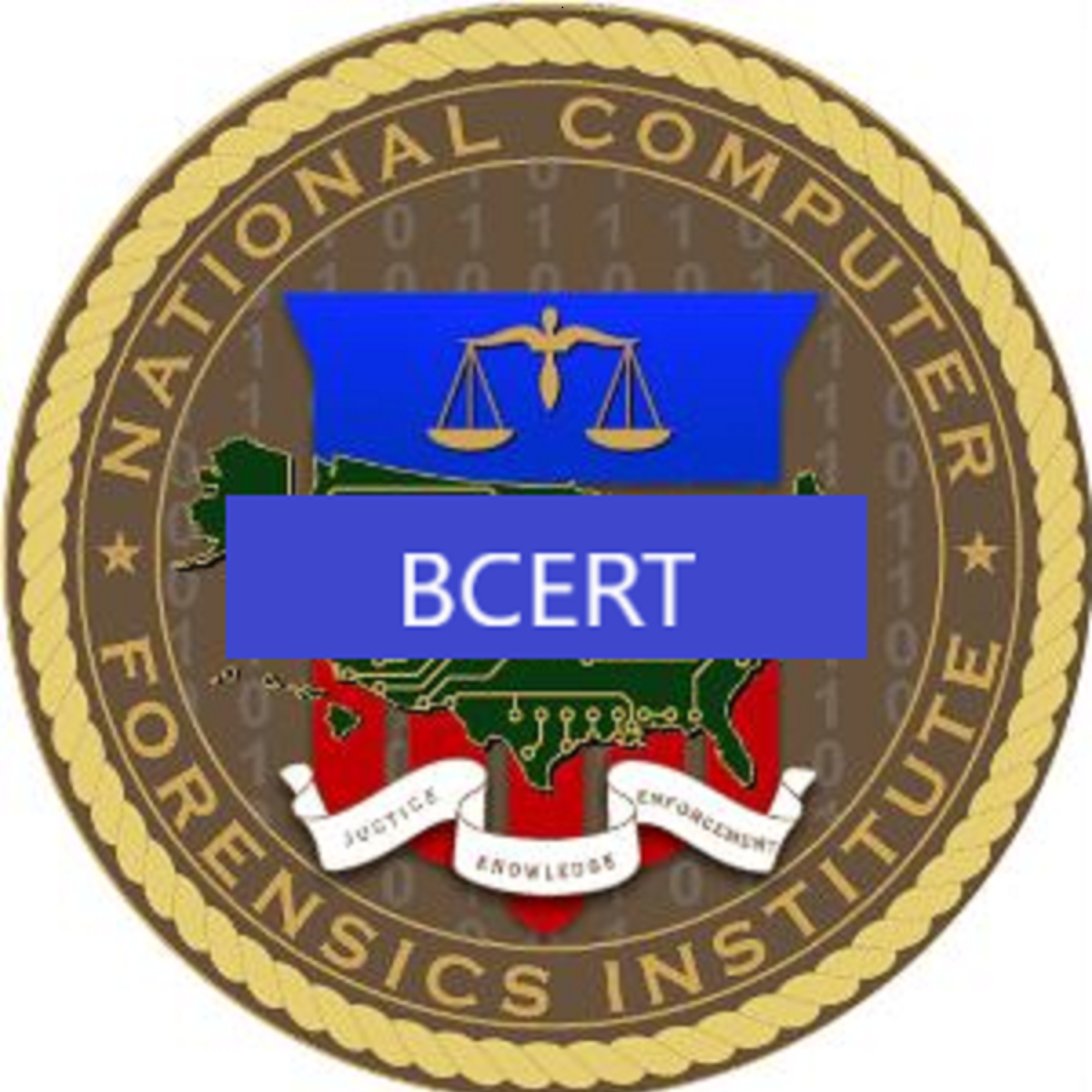 Basic Computer Evidence Recovery Training (BCERT) (v.1) - Credly