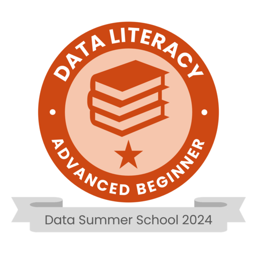 Data Literacy | Advanced Beginner - Credly