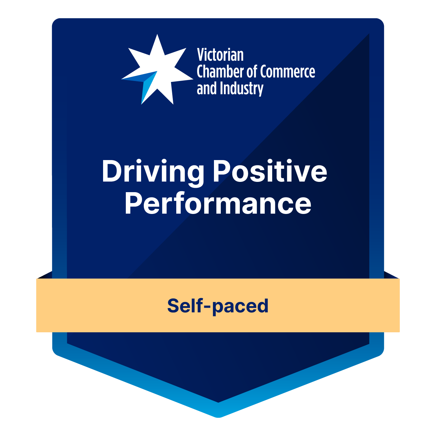 Driving Positive Performance - Credly