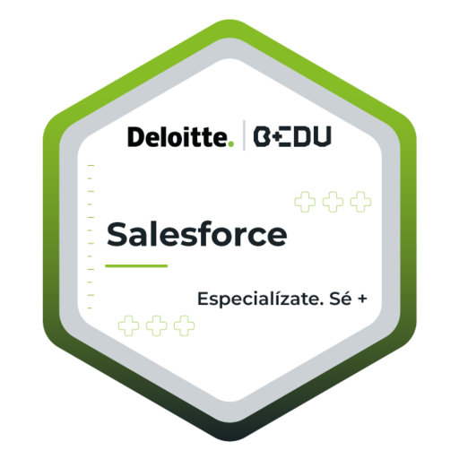 Salesforce Deloitte - Credly