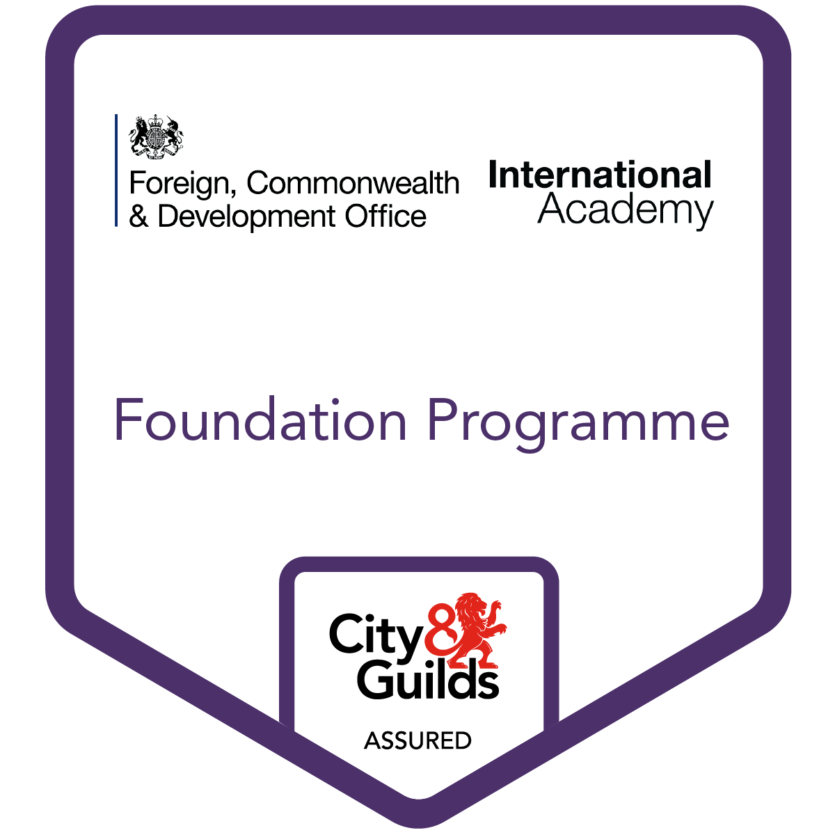 Foundation Programme in UK International Policy and Diplomacy - Credly