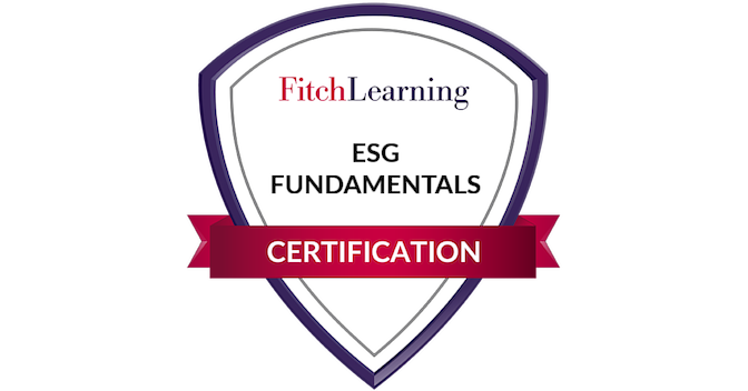 Fitch ESG Fundamentals Certificate - Credly