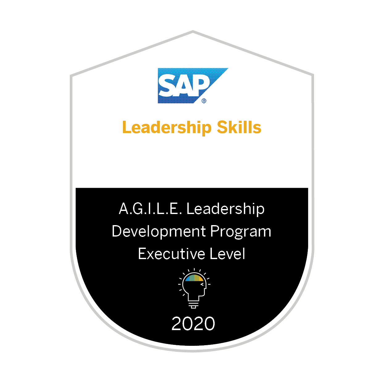 Leadership Skills 2020 - A.G.I.L.E. Leadership Development Program Executive Level - Credly