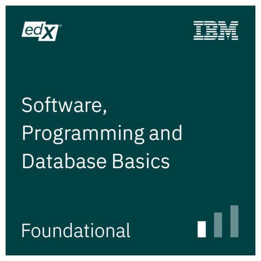 Software, Programming and Database Basics - Credly