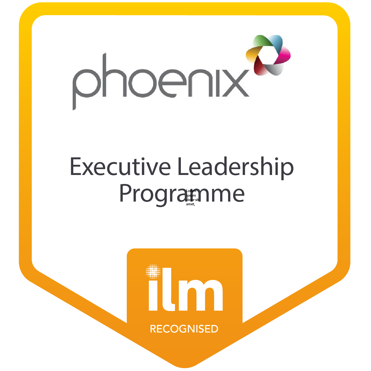 Executive Leadership Programme – Phoenix Training & Development - Credly