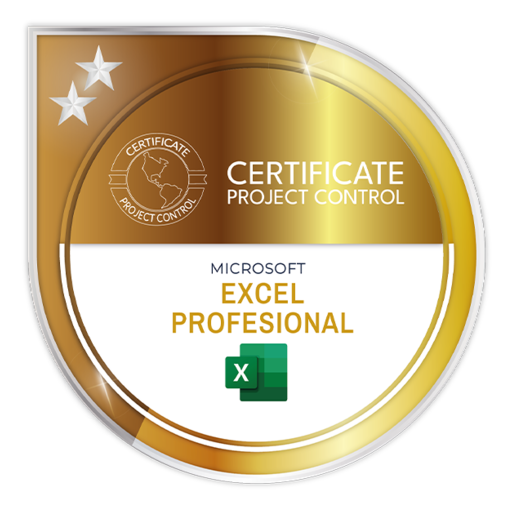 Especialización en Microsoft Excel Profesional - Credly
