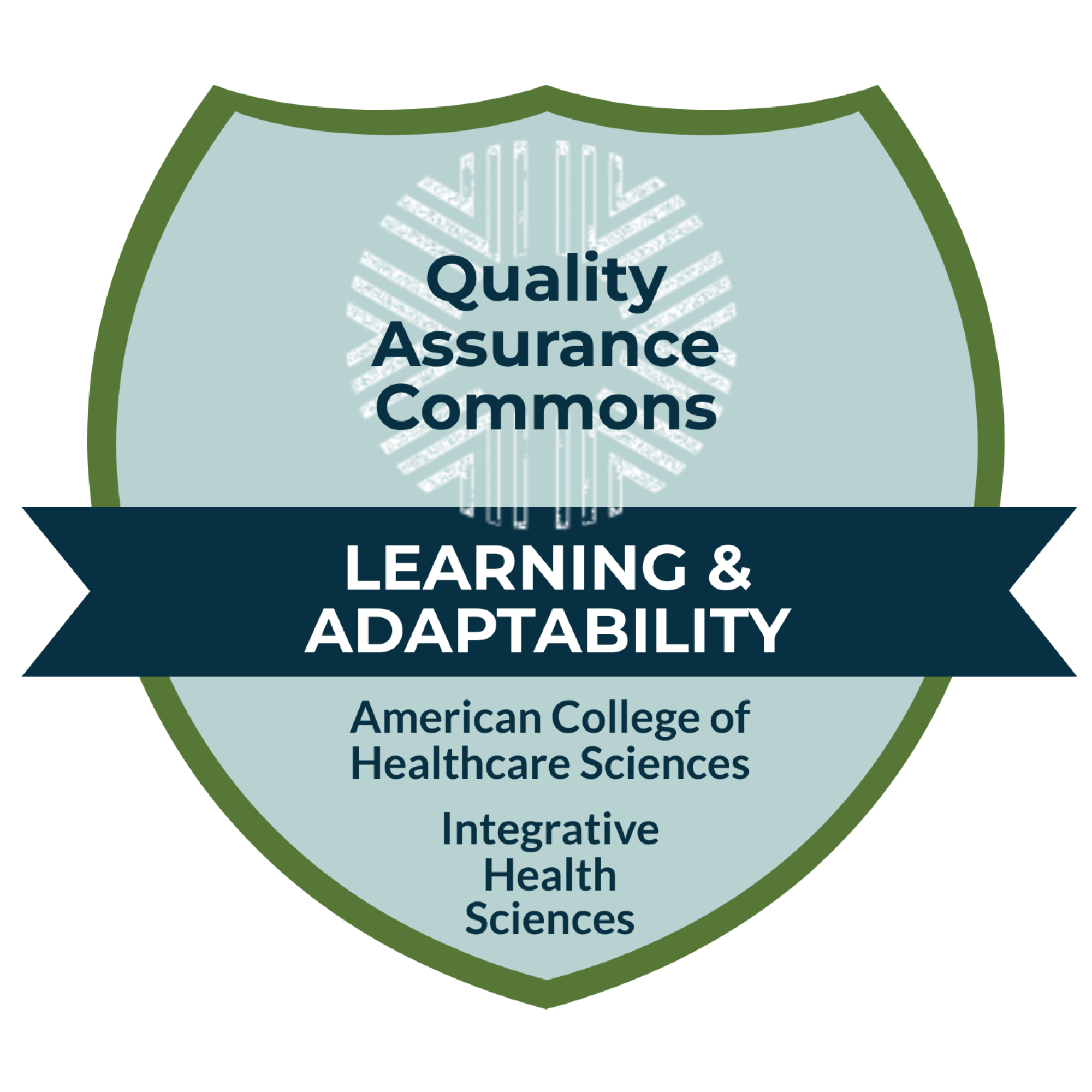 Learning & Adaptability, ACHS - Credly