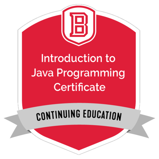 Introduction to Java Programming Certificate - Credly