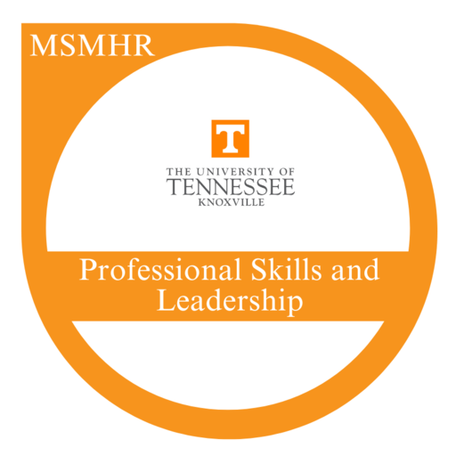 Professional Skills and Leadership Development - Credly