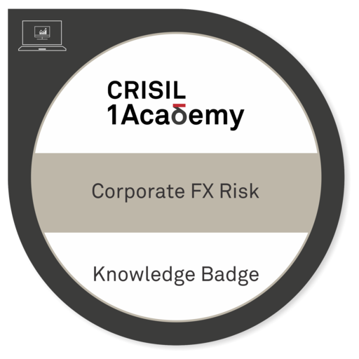Corporate FX Risk Management - Credly
