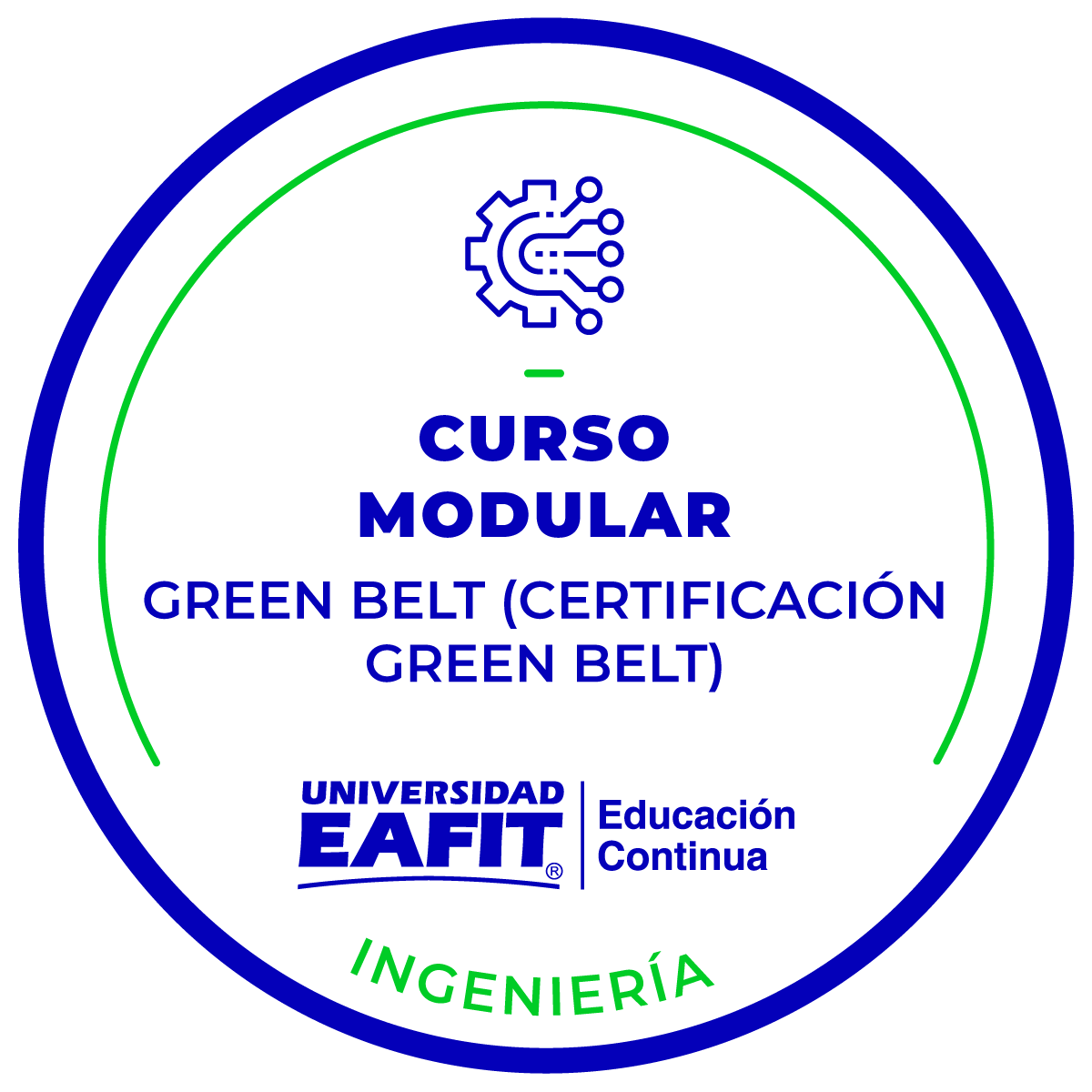 CURSO MODULAR GREEN BELT CERTIFICACI N GREEN BELT Credly
