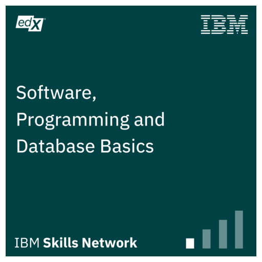 Software, Programming and Database Basics - Credly