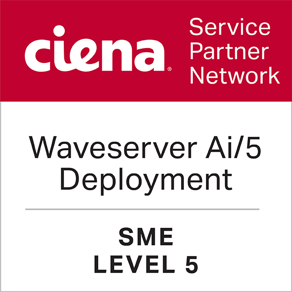 Service Partner Network - WSAi/5 Deployment Level 5 - Credly